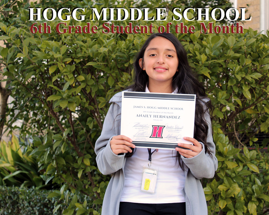 Live Feed | Hogg Middle School