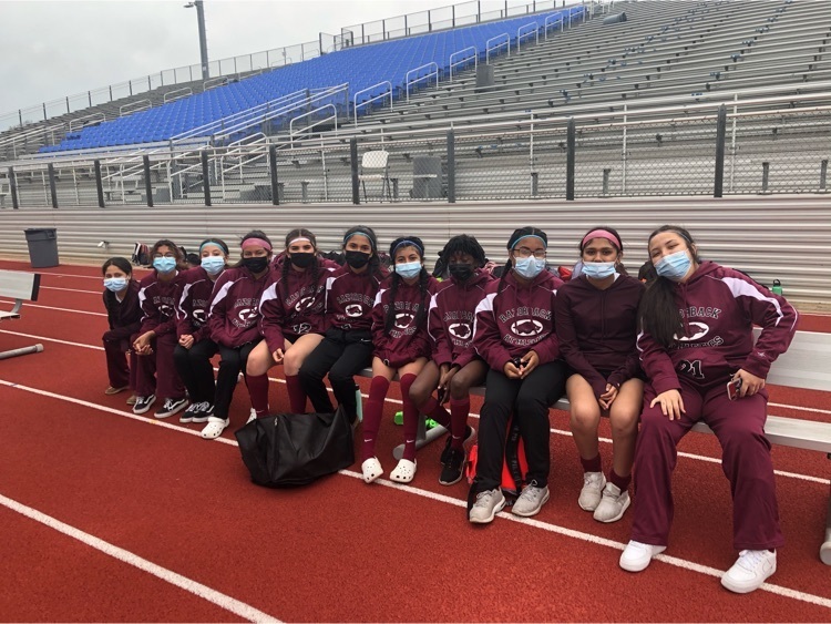 Live Feed | Hogg Middle School