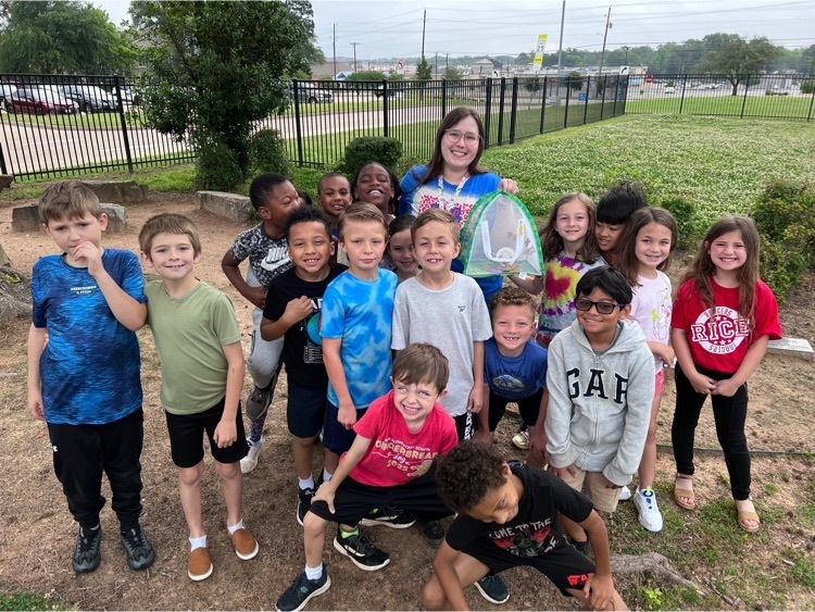 Live Feed | Rice Elementary School